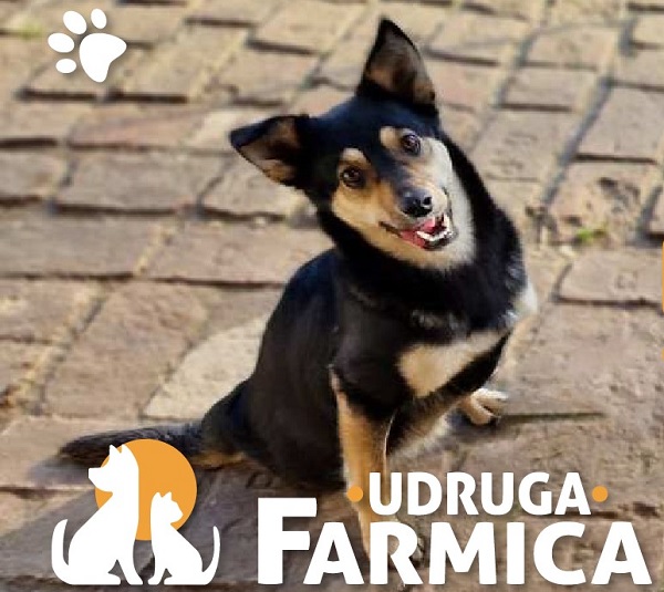 Udruga Farmica: veliko srce koje kuca za životinje - HOU.hr